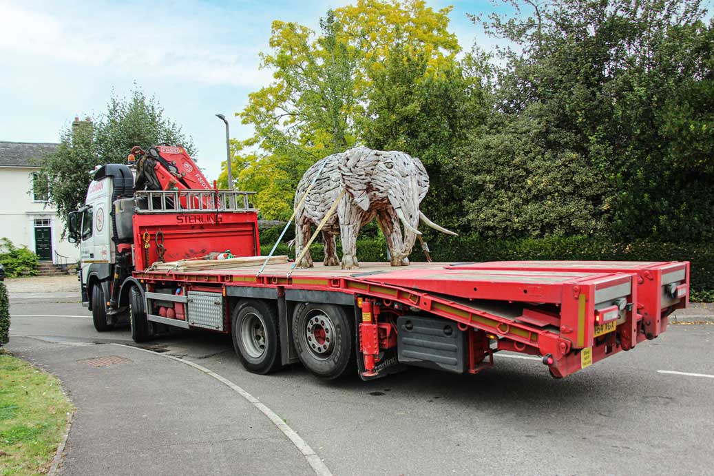 HIAB Truck Crane Delivers Elephant | News | Cadman Cranes